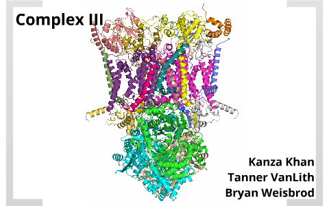 Complex III: Cytochrome bc1 by Bryan Weisbrod on Prezi