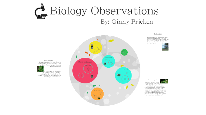 Biology Observations by Ginny Pricken on Prezi