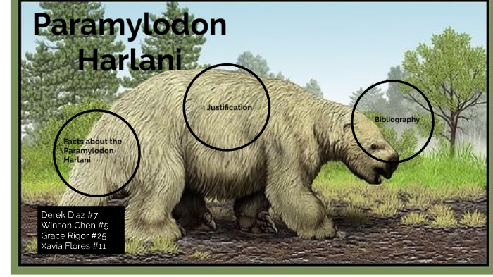 Paramylodon Harlani by Derek Diaz on Prezi