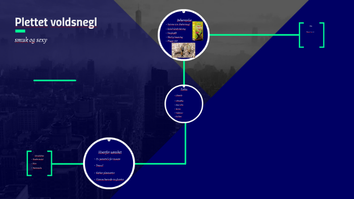 Plettet voldsnegl by Magnus hansen on Prezi