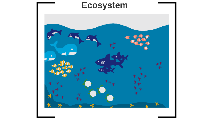 Ecosystems by on Prezi