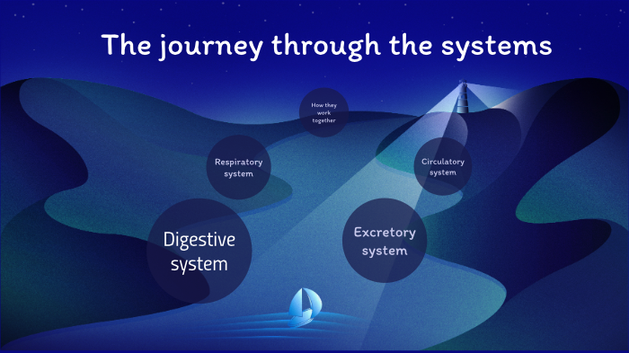 Body systems by Nicholas Chandra on Prezi