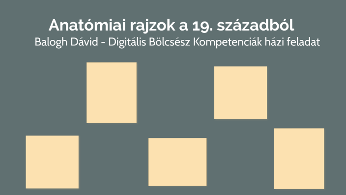 Anatómai rajzok a 19. századból by Dávid Balogh on Prezi