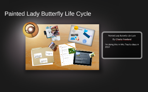 Painted Lady Butterfly Life Cycle by charla freeland on Prezi