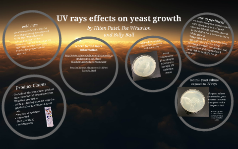 UV rays effects on yeast growth by Hiten Patel on Prezi