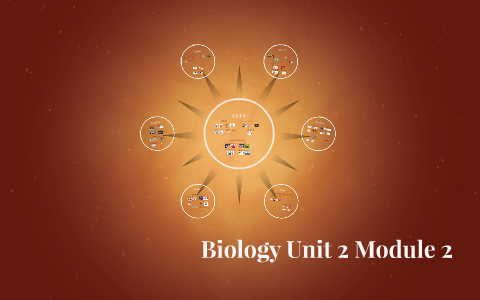 Biology Unit 2 Module 2 by Mikaela D'Arcy-Smith on Prezi