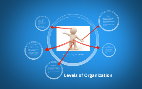 Levels of Organization by Junseong Park on Prezi
