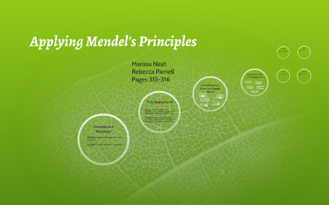 Applying Mendel's Principles by Becca Parnell on Prezi