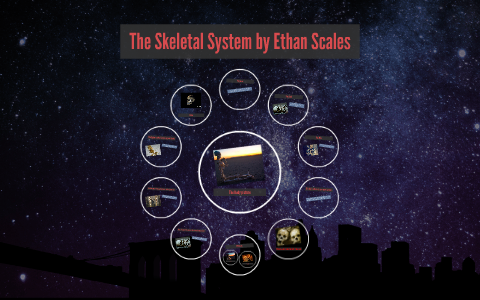 The Skeletal System by Ethan Scales by Sherrelle Hudson on Prezi