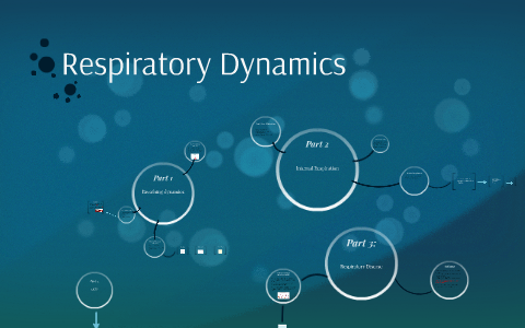 Respiratory Dynamics by Mark Temis on Prezi