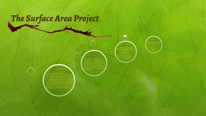 The Surface Area Project by on Prezi