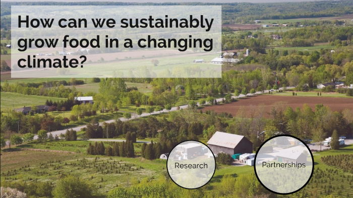 Arrell Summit ES synthesis project by ktt admin on Prezi