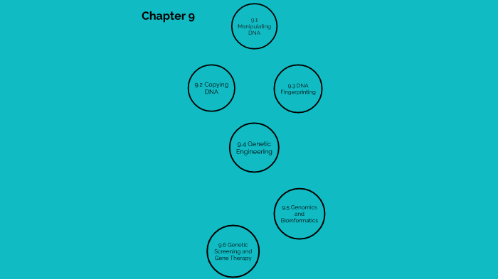 Chapter 9 Project by Jonas Brooks on Prezi