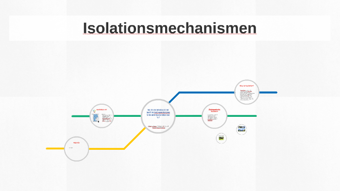 Isolationsmechanismen by Julian Schaper