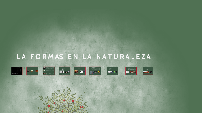 la forma en la naturaleza by ed. Plástica on Prezi