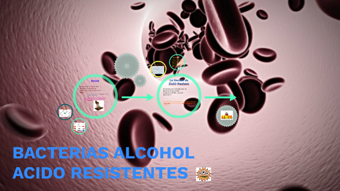 BACTERIAS ALCOHOL ACIDO RESISTENTES by Walter ValdiviaCruz on Prezi