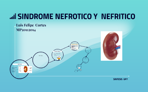 SINDROME NEFROTICO Y NEFRITICO by Luis Felipe Cortes on Prezi