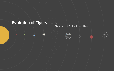 Evolution of Tigers by Izzy Aldaba on Prezi