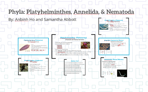 Phyla: Platyhelminthes, Annelida, and Nematoda by Samantha Abbott on Prezi