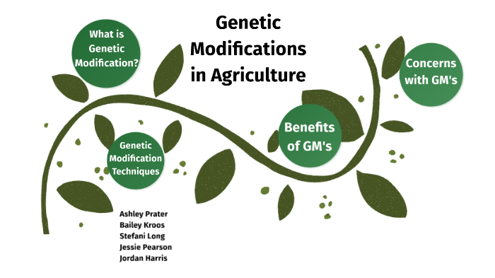 Genetic Modification in Agriculture by Ashley Prater on Prezi