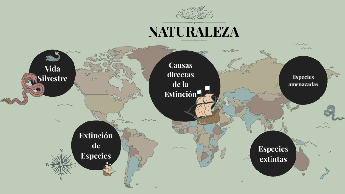 Unión Mundial para la Naturaleza by Victoria Solis on Prezi