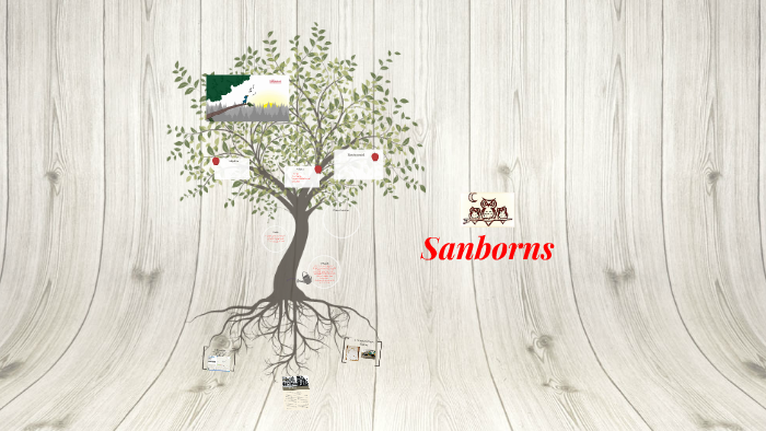 Sanborns by Itzel Estañol on Prezi