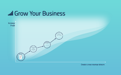 How do I generate more revenue? by Jessica Freese on Prezi