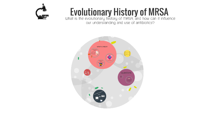 Evolution of MRSA by Taylor Alicea on Prezi