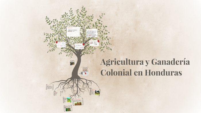 Agricultura y Ganadería Colonial en Honduras by Gina Sarmiento on Prezi