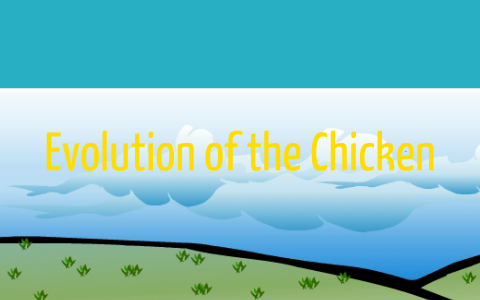 Evolution of the Chicken by Beka Soltesz on Prezi