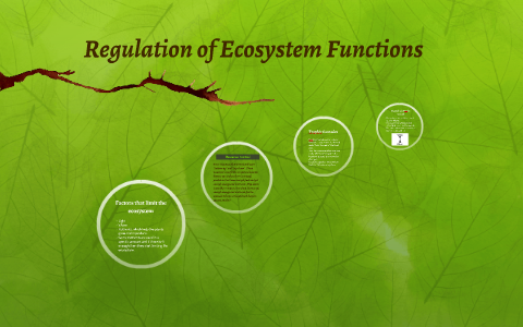 Regulation of Ecosystem Functions by Litzy Guzman