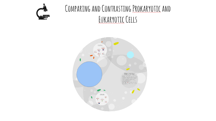 Comparing and Contrasting Prokaryotic and Eukaryotic Cells by Nancy ...