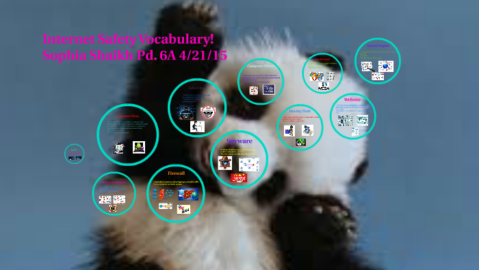 Internet Safety vocabulary! by sophia shaikh on Prezi