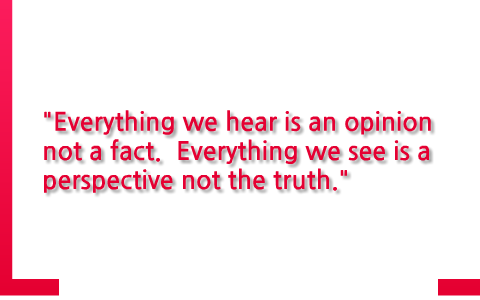 exploring opinion Vs. fact and perspective Vs. truth by olivia layani ...