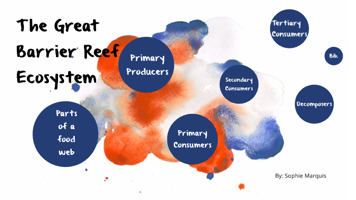 Great Barrier Reef Ecosystem by Sophie Marquis on Prezi