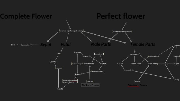 Flower Concept Map by Ethan Knight on Prezi