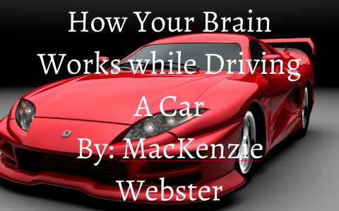 How Your Brain Works while Driving A Car by Mackenzie Webster on Prezi