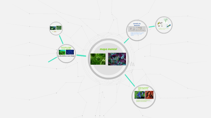 mapa mental reino monera by brando misael nieves ramirez on Prezi