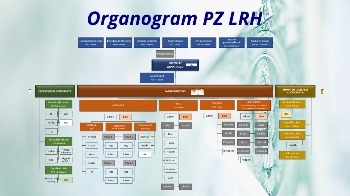 Organogram PZ LRH by Michelle Voesen on Prezi