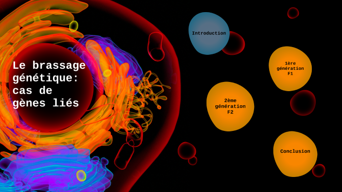 Activté B1-2: Cas de gènes liés by Sarah Cherif on Prezi