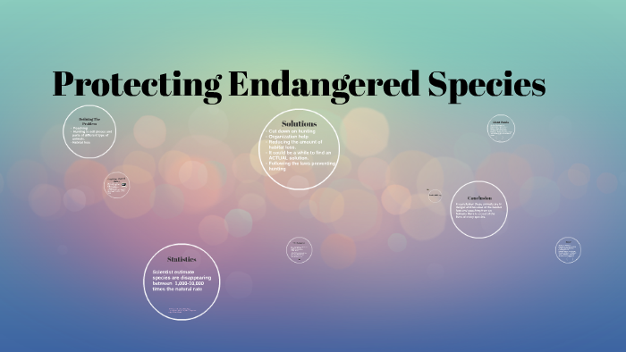 Protecting Endagered Species by kaitlyn combs on Prezi