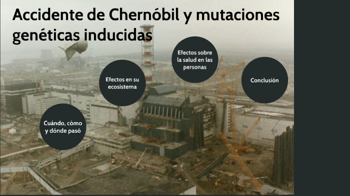 Accidente nuclear de Chernóbil y mutaciones genéticas inducidas by ...
