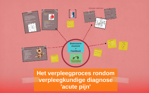 Het verpleegproces rondom verpleegkundige diagnose 'acute pi by ...