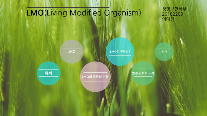 LMO by 예진 이 on Prezi
