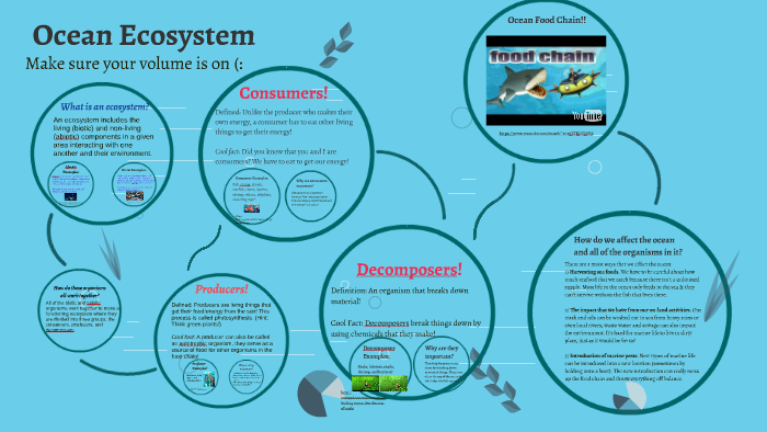 Exploring Ocean Ecosystems by Brea Hamby on Prezi