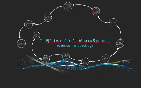 The Effectivity of the Atis (Annona Squamosa) leaves as Ther by ...
