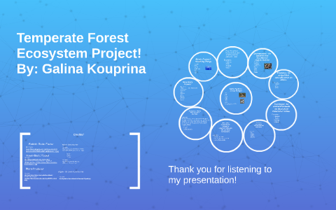 Temperate Forest Ecosystem Project! by Galina Kouprina on Prezi