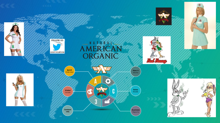 my company by david Khoshbin on Prezi