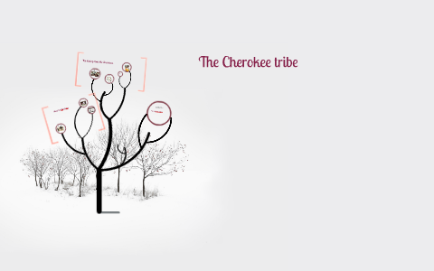 The Cherokee tribe by Hannah Juul Michaelsen