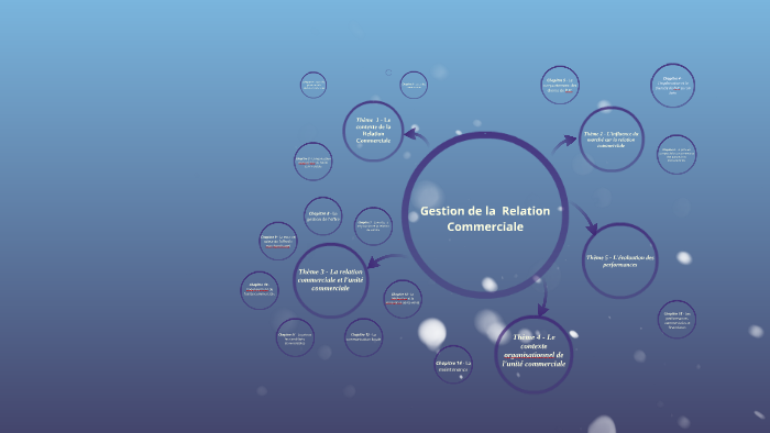 Gestion de la relation Commerciale by Anne Artaud on Prezi